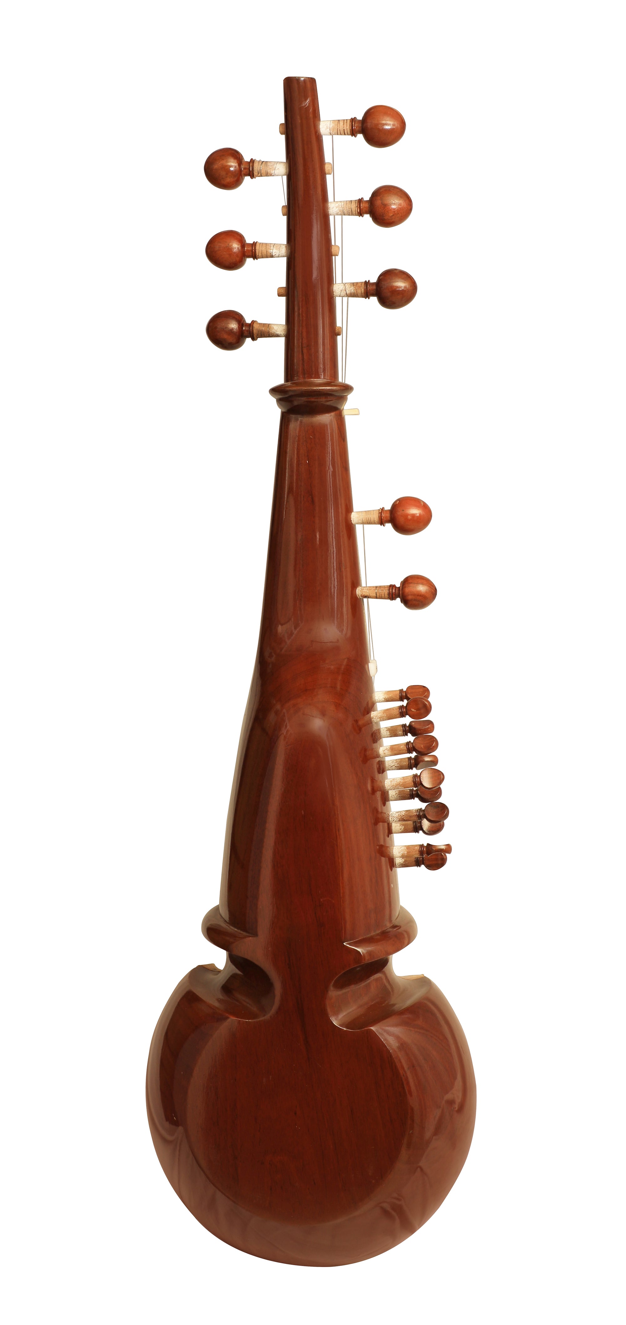 Sarod Instrument