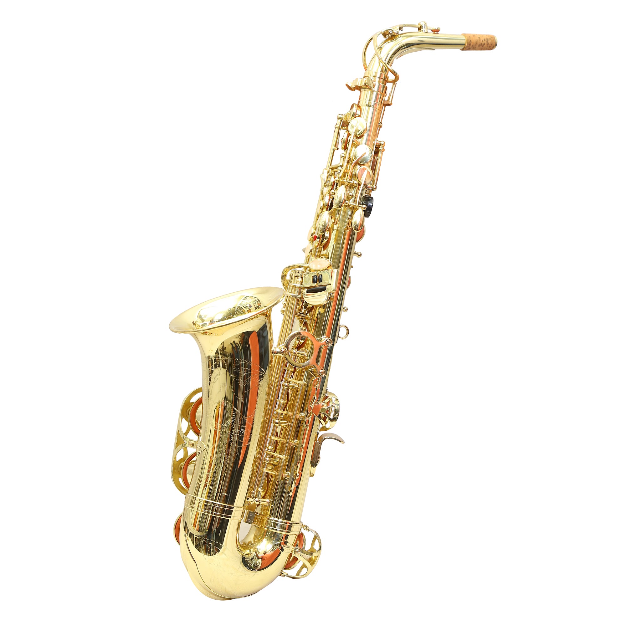 Saxophone Premier Model - Rikhiram