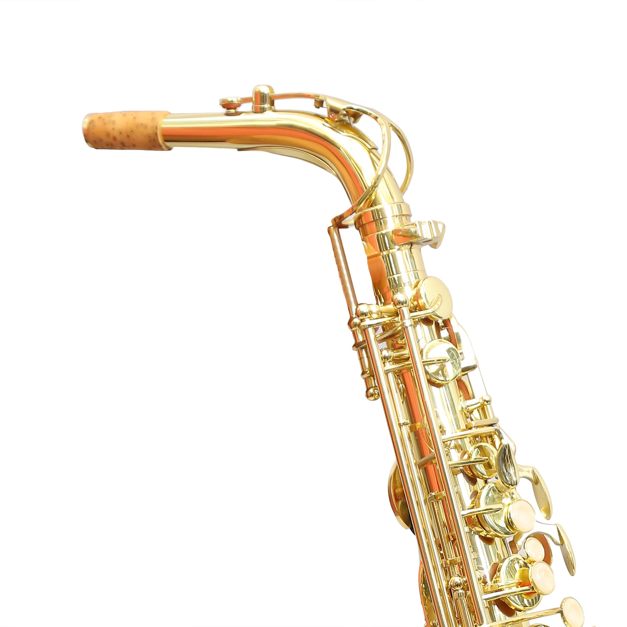 Saxophone Premier Model - Rikhiram
